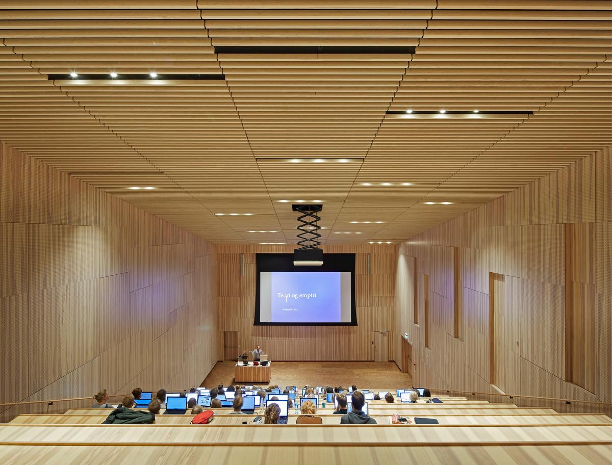 Moesgaard Museum – ArcDog